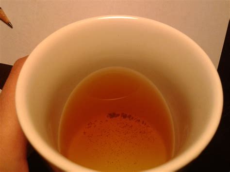 Are Conic Sections Bad For My Tea Please Hurry Its Cooling Down Imgur