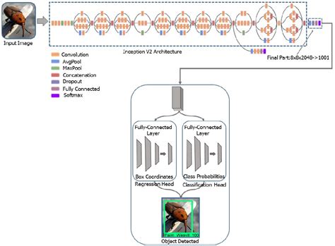 Figure 4 From A Deep Learning Model For Real Time Red Palm Weevil