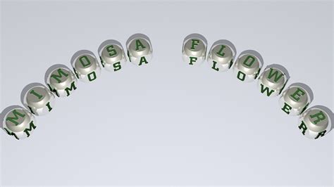 거울 바닥에 입방 문자로 배열 미모사 꽃의 크로스 워드 퍼즐 개념 의미와 프리젠 테이션 배경과 꽃 3d 일러스트레이션 0명에