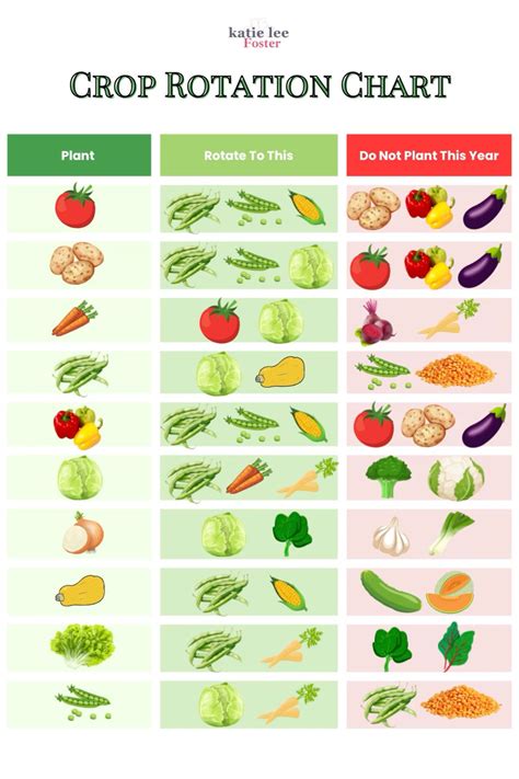Best 12 Crop Rotation Chart Vegetable Garden Planning Made Easy Artofit