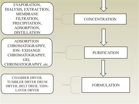 Upstream And Down Stream Process PPTX Chemistry Science