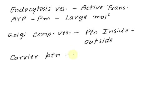 SOLVED In A Gram Negative Cell Which Components Of The Cell Envelope Are Permeable To A Large