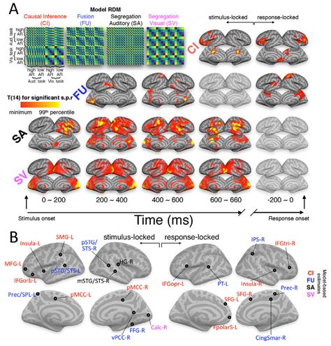 Spatio Temporal Evolution Of Multisensory Representations Temporal