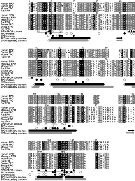 Sequence Alignment Of Tpo And Epo From Various Species Epo Epor Site 1