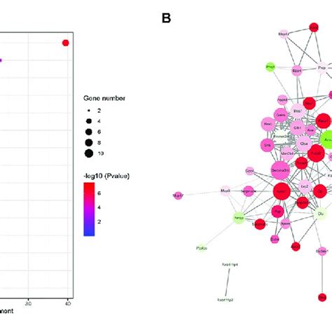 Comparison Of The Proteomics Analysis By Kegg Pathway And Ppi Network