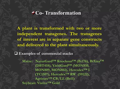 Gene Pyramiding Ppt