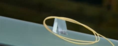 How Gut Strings Are Made