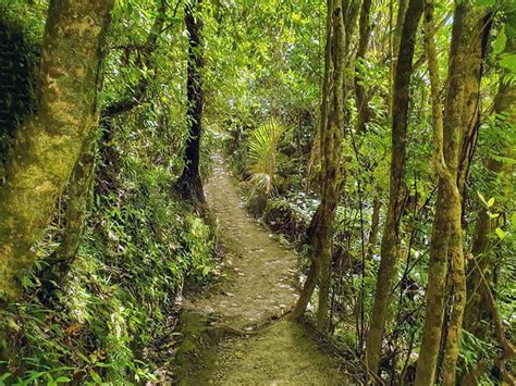 Hemi Matenga Reserve Scene Waikanae Watch