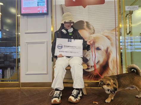 믹스견 맥주 엑조틱크기 터키시앙고라크기 페르시안크기 하이랜드폴드크기 애완견크기 반려견크기 소형견무료입양사이트 중형견무료입양사이트 대형견무료입양사이트 미니비숑프리제무료입양