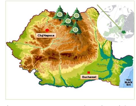 Figure 1 From The Influence Of Substrate Types And Bio Phyto Modulators On Spruce Seed