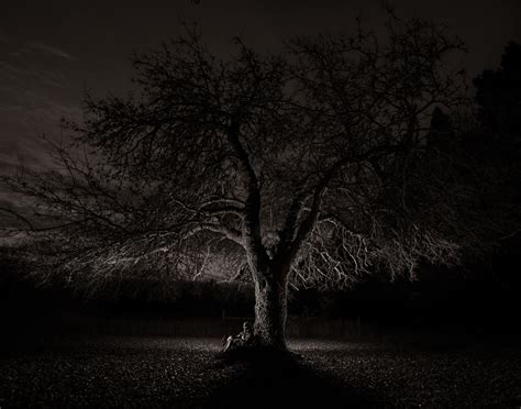 Cassi And The Tree Shutterbug