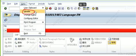 Sap Abap开发学习——bapiabap Abso Bapi Csdn博客