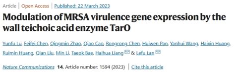 Nat Commun 国科大杭高院蓝乐夫课题组合作揭示mrsa毒力基因表达调控的新机制 国科大杭州高等研究院药物科学与技术学院