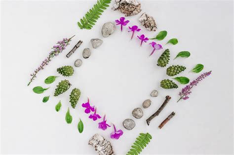 마름모 프레임 창조적인 레이아웃 나뭇잎 돌과 흰색 배경에 나무의 자연 레이아웃 광고 카드 또는 초대장 비어 자연의 개념입니다