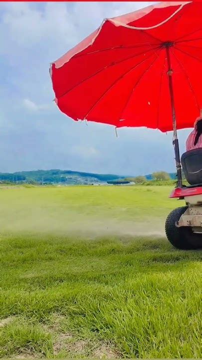 잔디를 깎았어요 ㅋㅋ Youtube