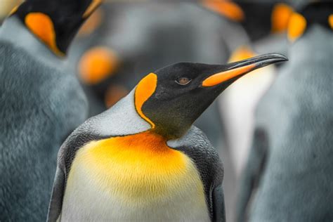 돈 되는 분야에서 경쟁 우위 지속시키기 성공을 이끄는 전략과 방법