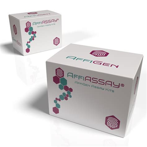 Affiassay® Dual Luciferase Reporter Assay Kit Affigen