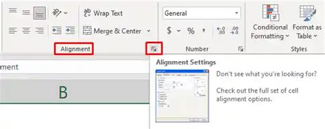 Excel Cell Alignment পরবরতন কর এমএস একসল ২০১৬ পরব ২৩