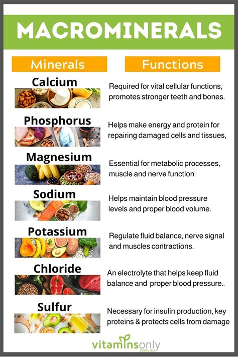 Minerals And Their Functions