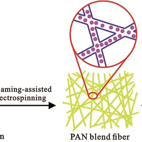 Schematic Illustrations Of The Synthetic Pathways Of Tio2 Cnfs Composites Download Scientific