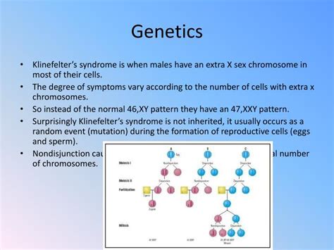 Ppt Klinefelters Syndrome Powerpoint Presentation Id 6730569