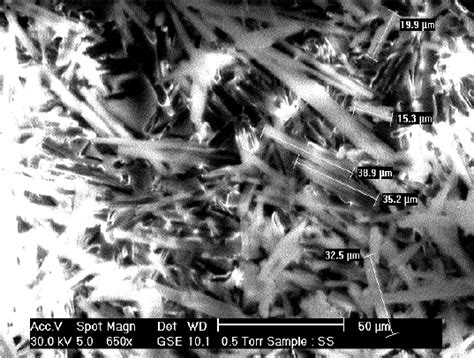 A Screening Electron Microscopy Of Pure Drug Download Scientific Diagram