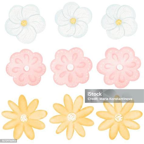 손으로 그린 낙서 스타일 만화 장식 꽃입니다 수채화 디지털 세트입니다 여름 또는 봄 테마로 카드 인사말 초대장 격리된 요소를 닫습니다 생태 요소 모음 계절에 대한 스톡 벡터