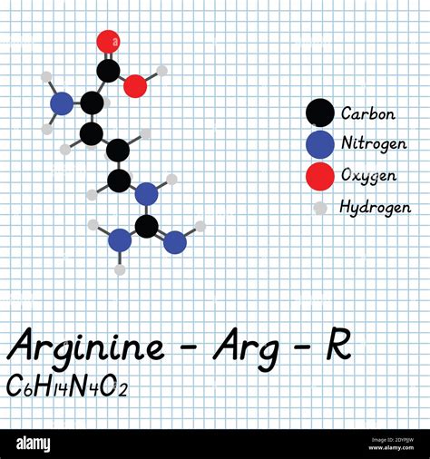 Arginine Arg R Amino Acid Molecular Formula And Chemical Structure