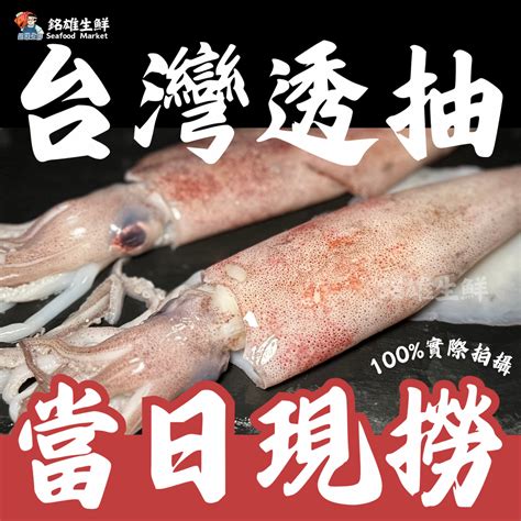 【銘雄生鮮】現撈野生台灣透抽 一尾200g 季節限定 東北港透抽 野生透抽 透抽 中卷 野生中卷 砲管 蝦皮購物