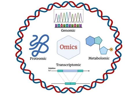Figure No 1 Omics In The Study Of Medicinal Plants Adapted From Download Scientific Diagram