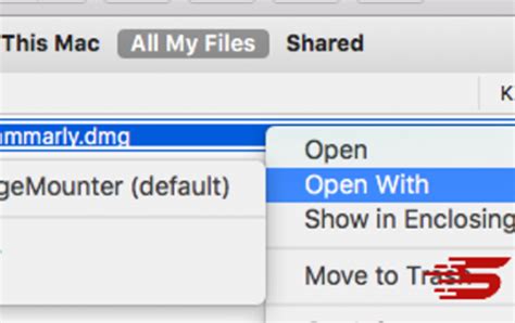 Unraveling Zbuddy Ocx