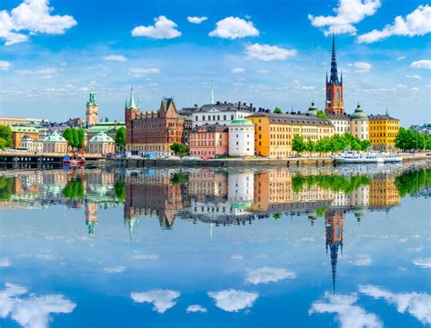 Stockholm Skirt Clams