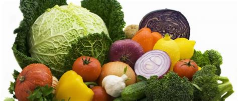 კვების რაციონი