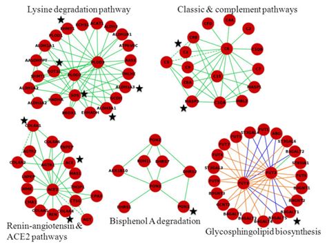 Network Generated Using The Dysregulated Interactions Identified By