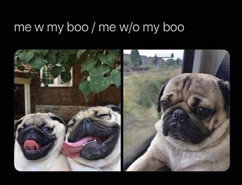 This Is Sooo Cute R Wholesomememes