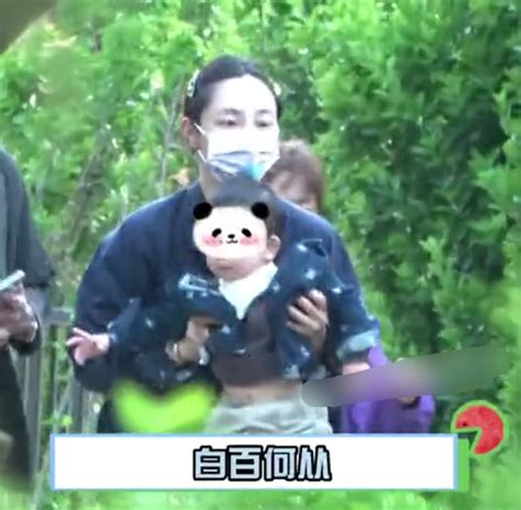 白百何的老公到底是谁白百何老公张思麟资料介绍 娱乐 天鹮网