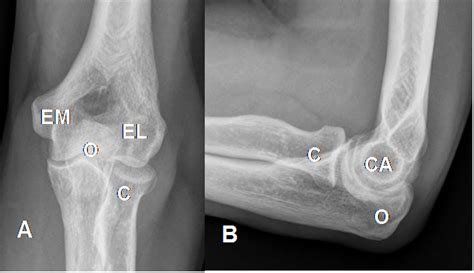 Documento Sin Título