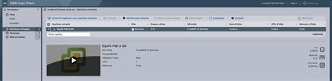 Comment Déployer Dynfi Firewall Sous Esxi — Documentation Dynfi Firewall 300 Documentation