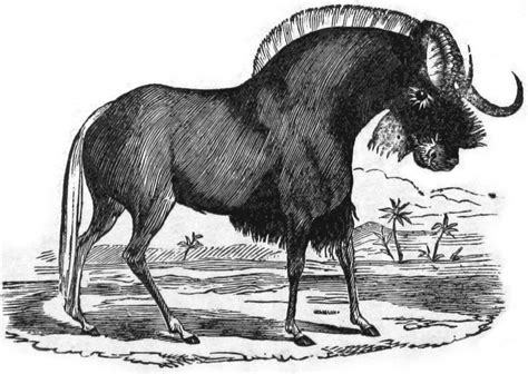 Set Up A Gunicorn Configuration File And Test It Adam Johnson