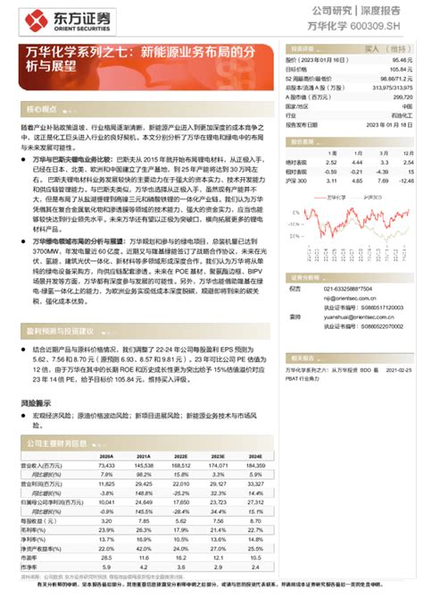 万华化学系列之七：新能源业务布局的分析与展望