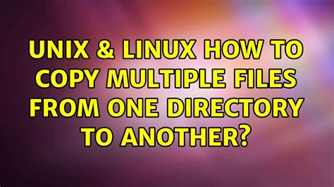 Unix And Linux How To Copy Multiple Files From One Directory To Another