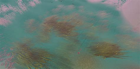 Infinigrass Studio Massively Optimizedinteractive And Non Uniform