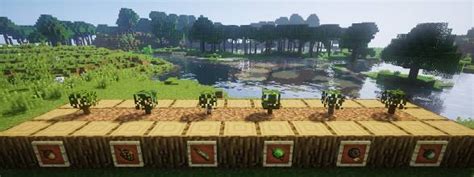 Dynamic Trees 1 20 1 1 18 2 1 16 5 1 12 2 1 7 10