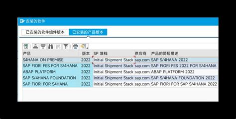 如何更详细查看SAP 系统版本信息 知乎