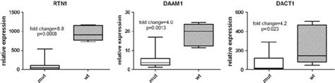 Boxplot Representation Of Gene Expression Levels Measured By Qpcr Of Download High
