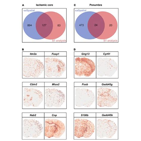 Spatial Analysis Of Spatial Transcriptomics Saspatial Flow Chart A Download Scientific