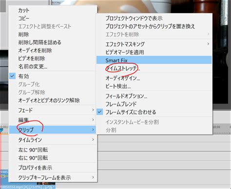 プレミアエレメンツ2020使い方 クリエイターの教科書