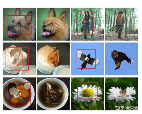 Cvpr2022 Maskgit Masked Generative Image Transformer阅读笔记 知乎