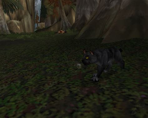 Polymorph Spell World Of Warcraft