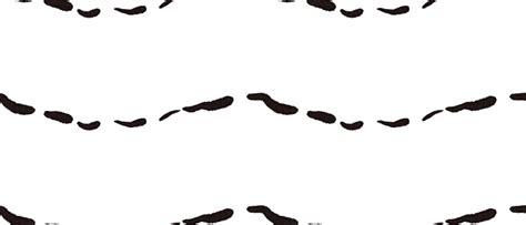 완벽 한 추상적 인 기하학적 패턴입니다 검은 색 흰색 배경 그림 선 Staims 섬유 직물 포장지 배경 벽지 표지 디자인 개념에 대한 스톡 벡터 아트 및 기타 이미지